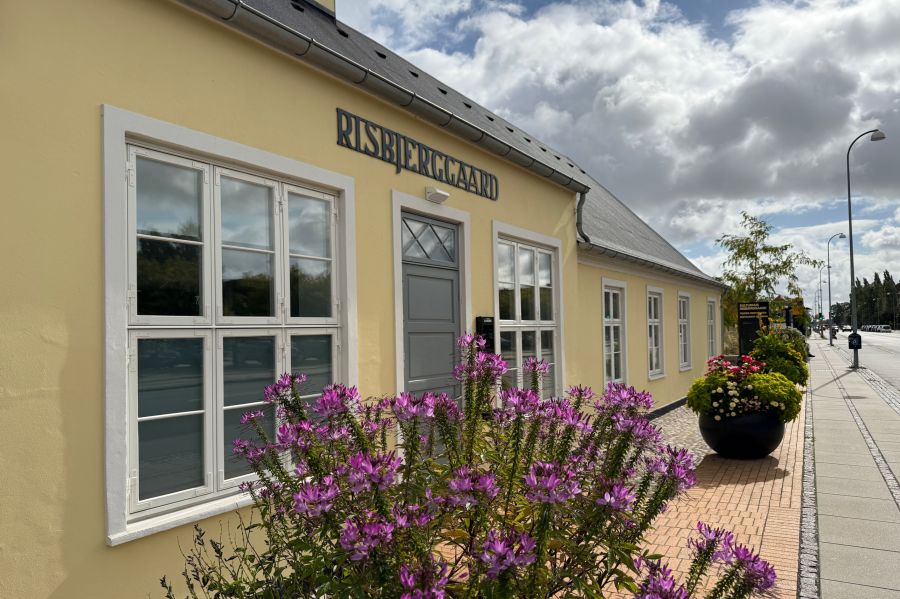 Nyheder om Hvidovre - HvidovreNyt